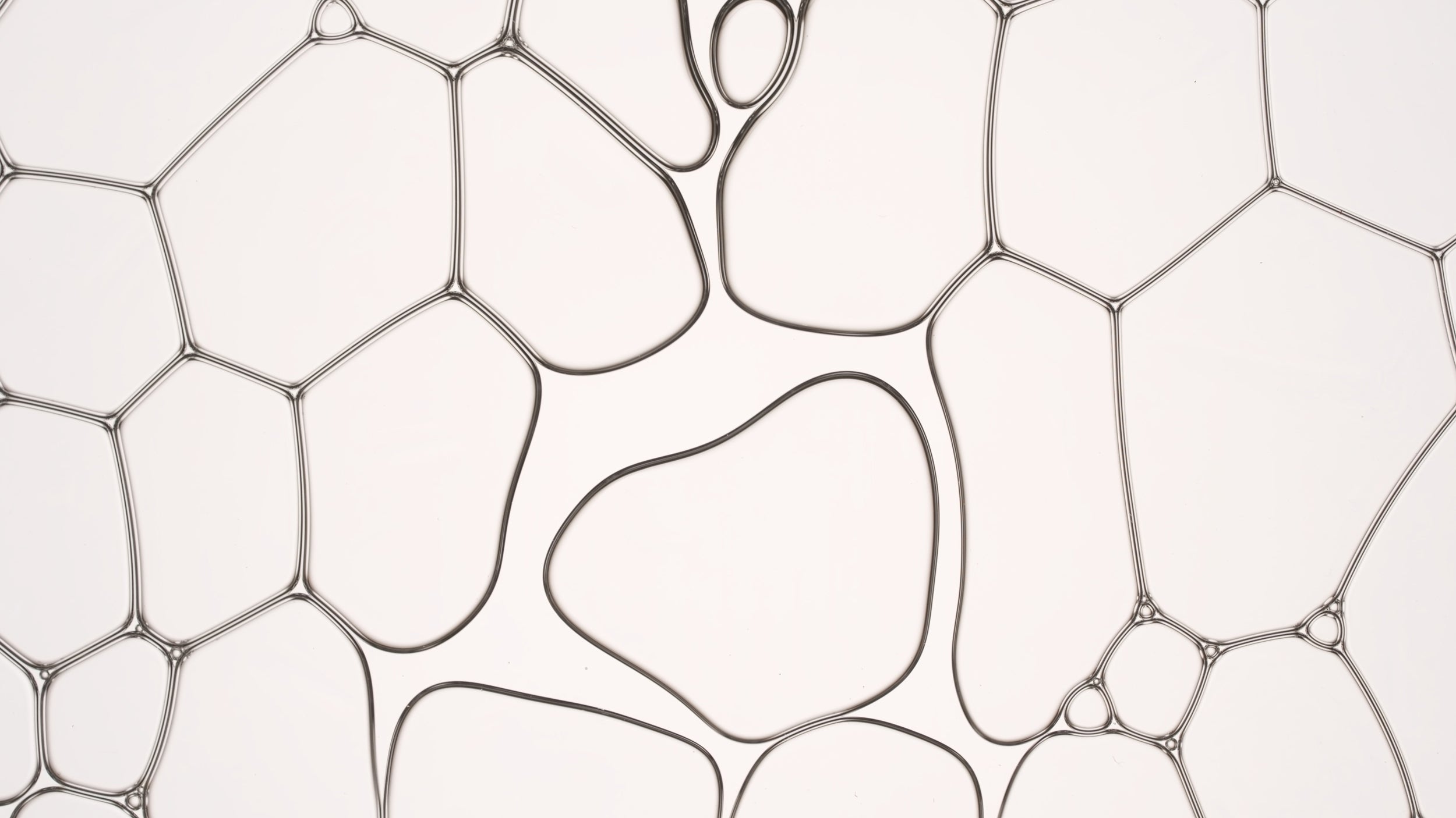 Ingredient Spotlight: What Makes These Hydration Heroes Work? – Rejûvaskin